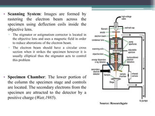 Scanning Electron Microscopy Advantages, Application and Disadvantages ...
