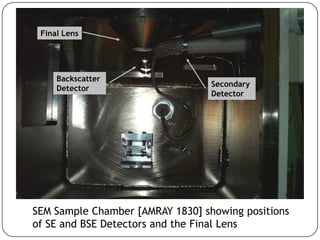 Scanning electron microscopy mubbu | PPTX