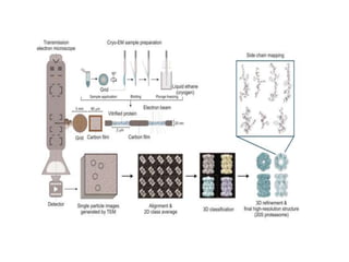 Recent Advances in microscopy | PPTX