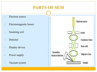 Scanning electron microscopy (sem) | PPTX