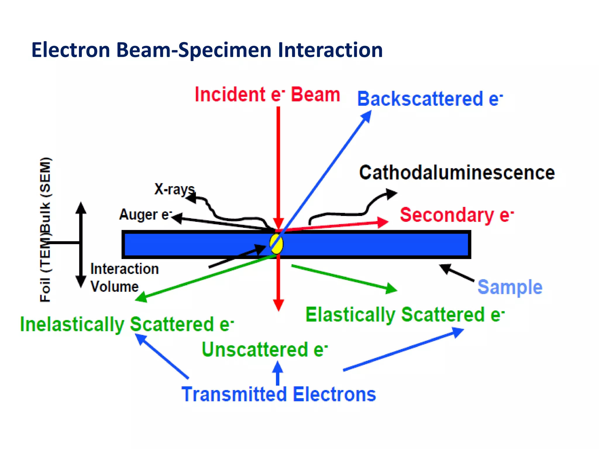 Scanning Electron Microscopy Sem 2013 Pptx