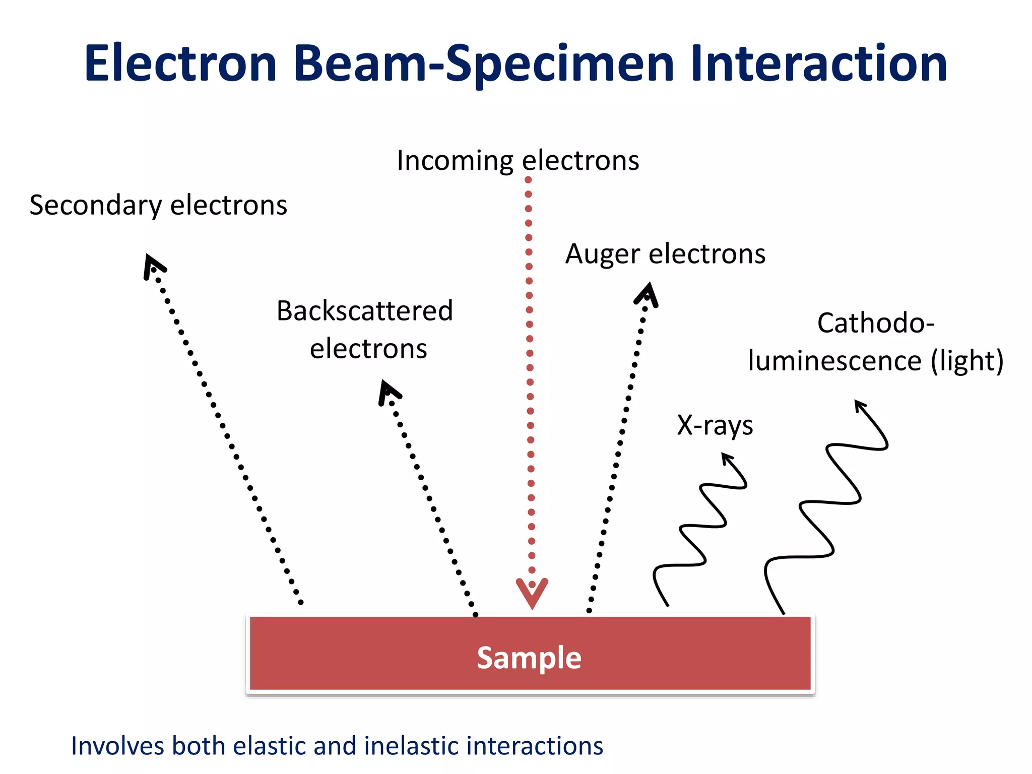 Scanning Electron Microscopy Sem 2013 Pptx