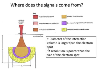 Scanning Electron Microscopy (SEM 2013).pptx