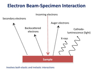 Scanning Electron Microscopy (SEM 2013).pptx