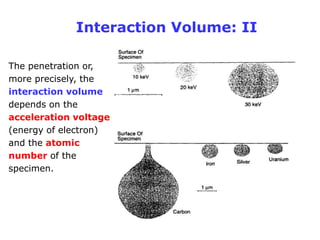 Scanning Electron Microscopy (SEM 2013).pptx
