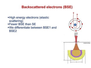 Scanning Electron Microscopy (SEM) Analysis.pdf