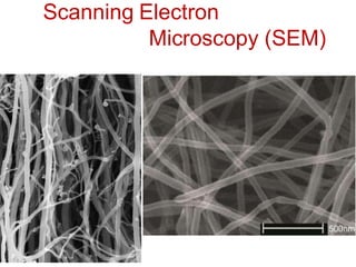 Scanning Electron Microscopy (SEM) Analysis.pdf