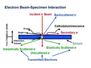 Scanning Electron Microscopy (SEM) Analysis.pdf
