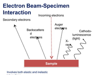 Scanning Electron Microscopy (SEM) Analysis.pdf