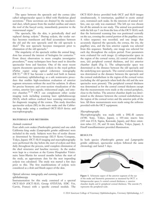 Scanning laser ophthalmoscopy and optical coherence tomography cazalot ...