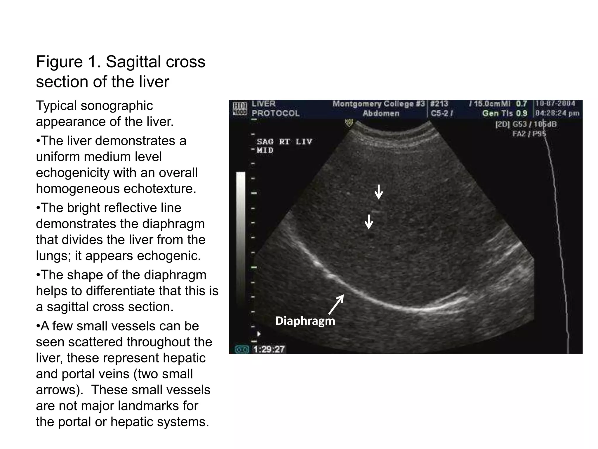 Scanning presentation | PPTX