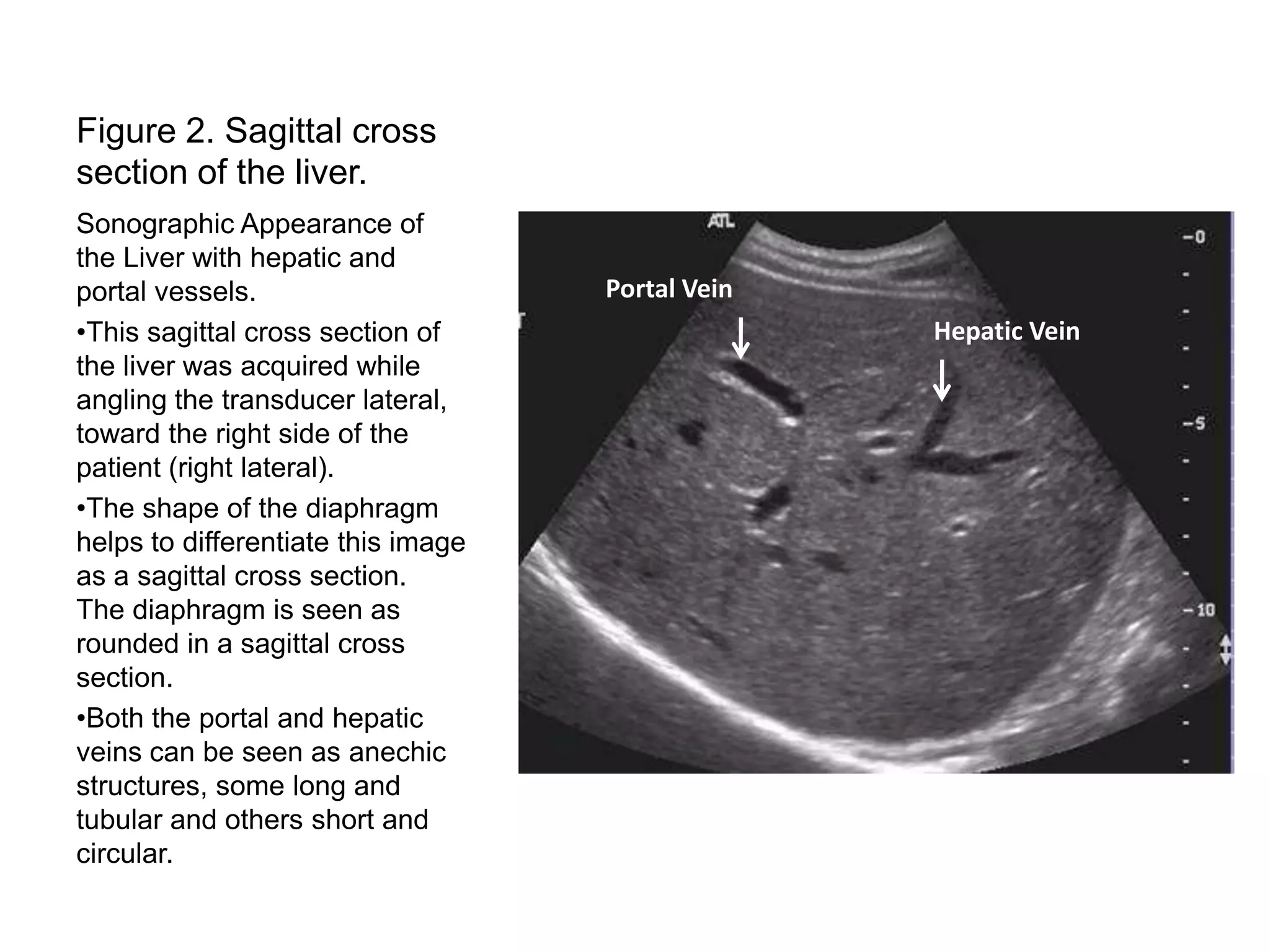 Scanning presentation | PPTX