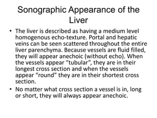 Scanning presentation | PPTX
