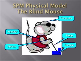 Scanning probe microscope | PPT