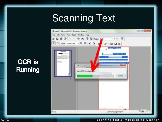 Scanning text and images using scanner