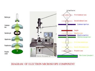 Scanning transmission electron microscope (2) | PPTX