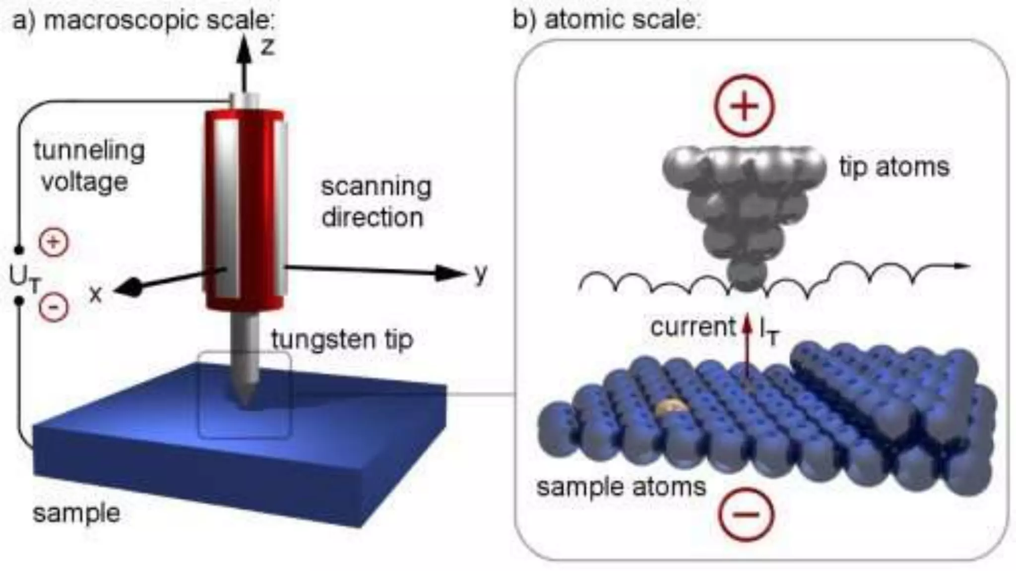 SCANNING TUNNELING MICROSCOPY.pptx