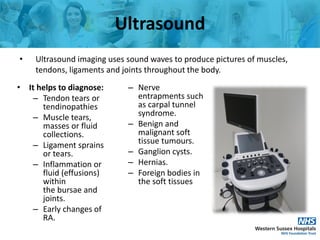 Scans and imaging | PPT