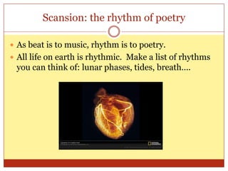 Scansion | PPT