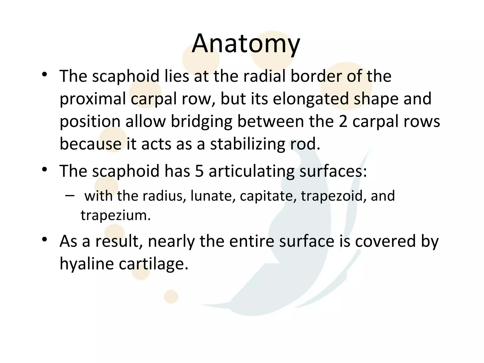 Scaphoid fractures | PPT