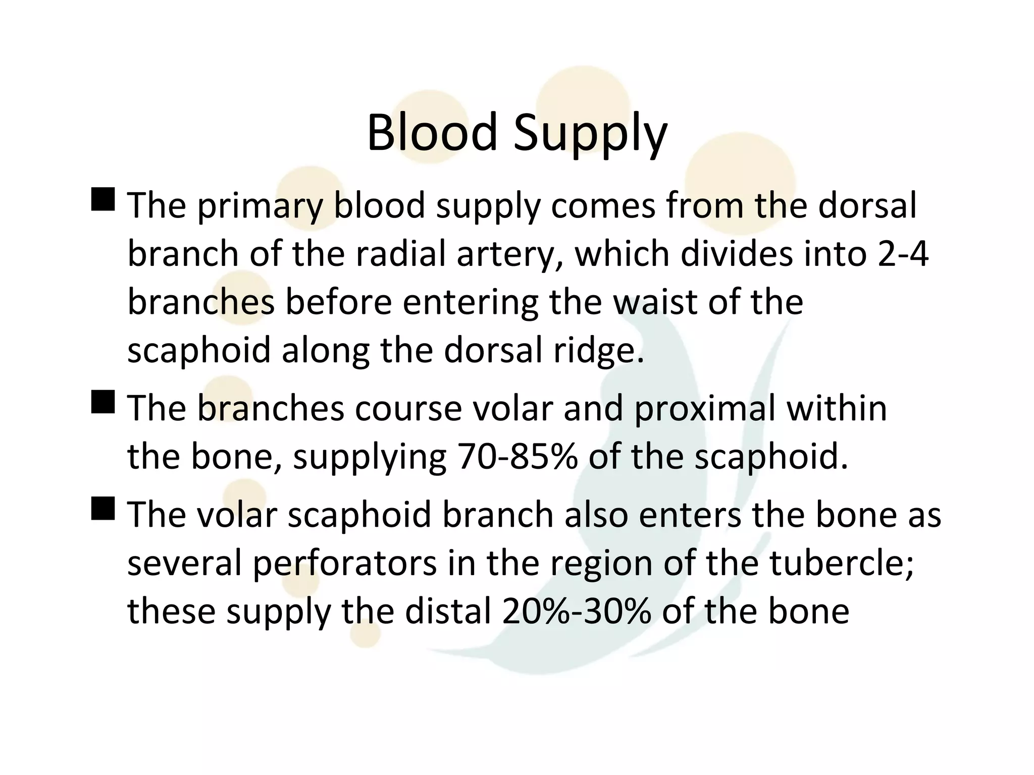 Scaphoid fractures | PPT