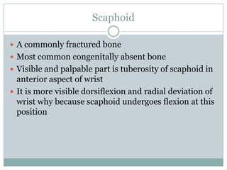 Scaphoid fracture | PPT