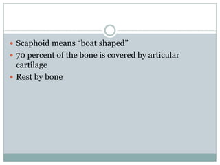 Scaphoid fracture | PPT