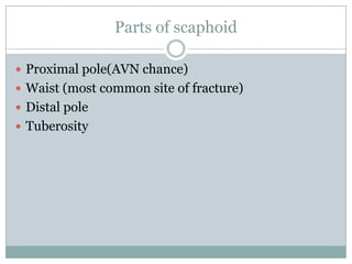 Scaphoid fracture | PPT