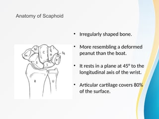 scaphoid FRACTURE(1).pptxccccccccccccccc | PPTX