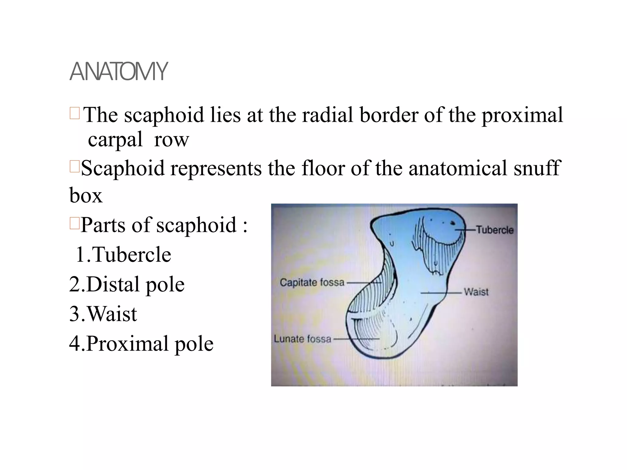 Scaphoid fracture and non union | PPTX
