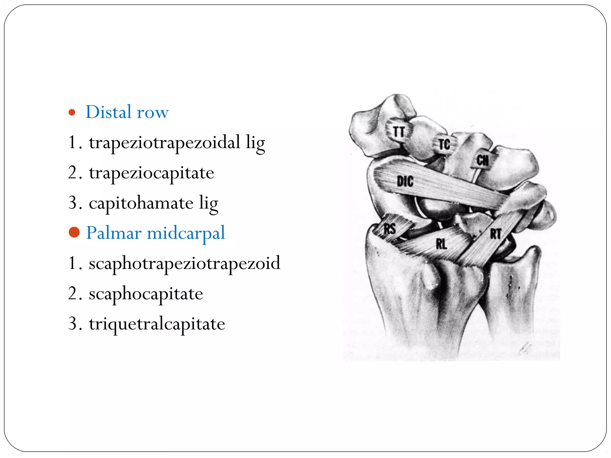 Scaphoid fracture and nonunion | PPT