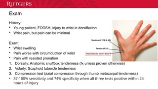 Scaphoid Fractures: Indications and Techniques | PPT