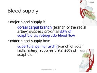 Scaphoid fracture | PPTX