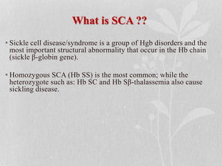 SCA | PPTX | Blood Disorders | Diseases and Conditions