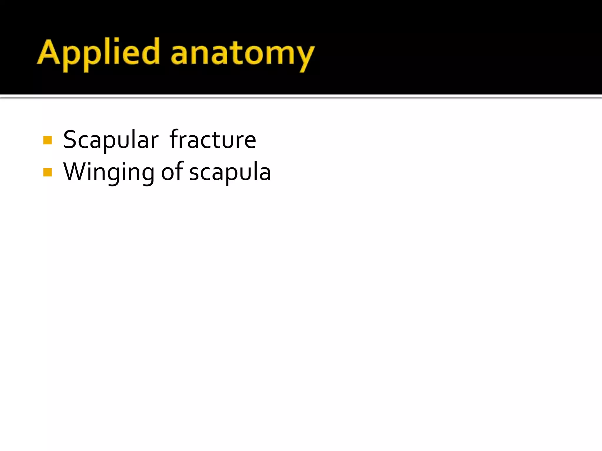 Osteology of Scapula | PPTX