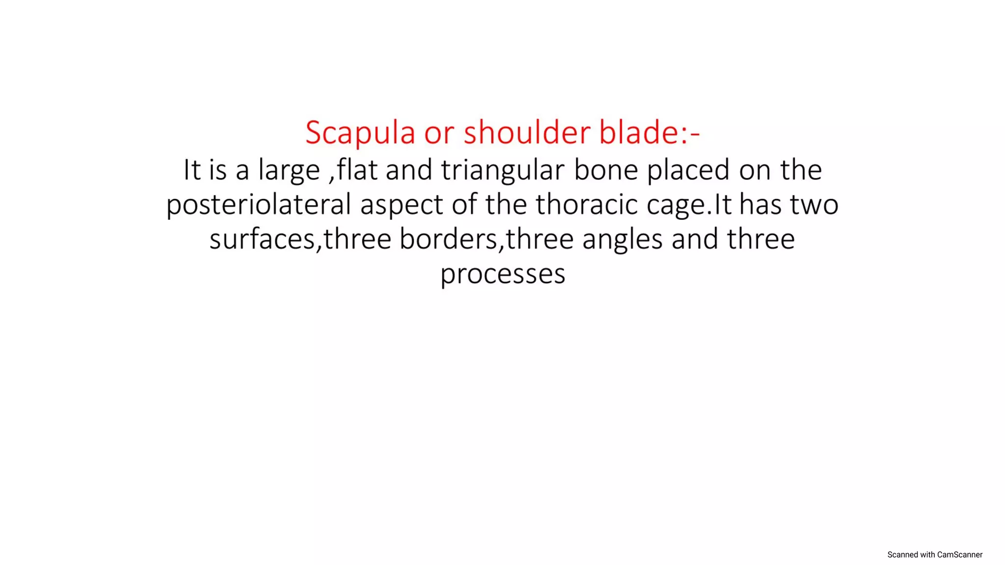 Scapula | PDF