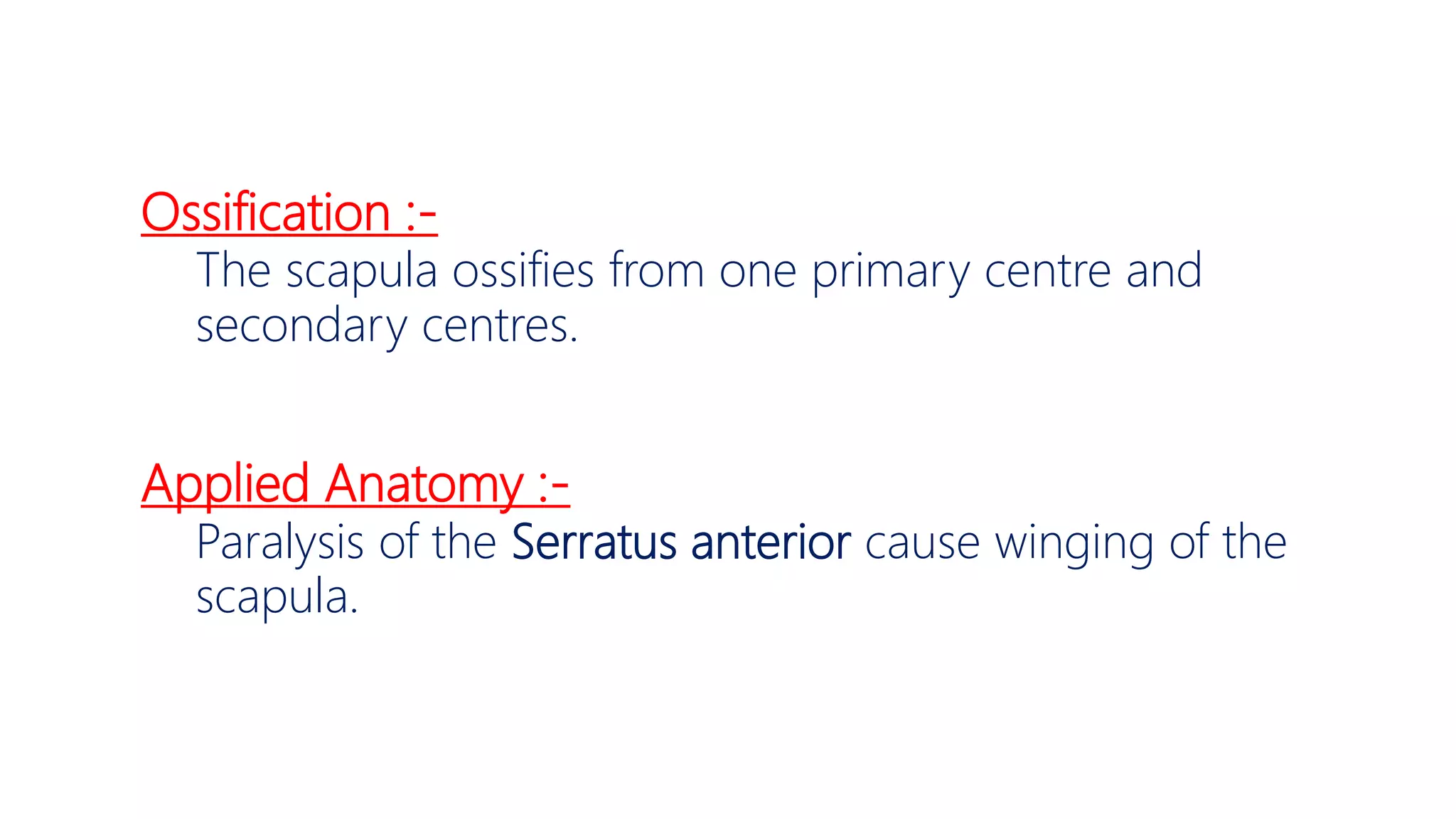 Scapula bone| easy explanation | PPTX