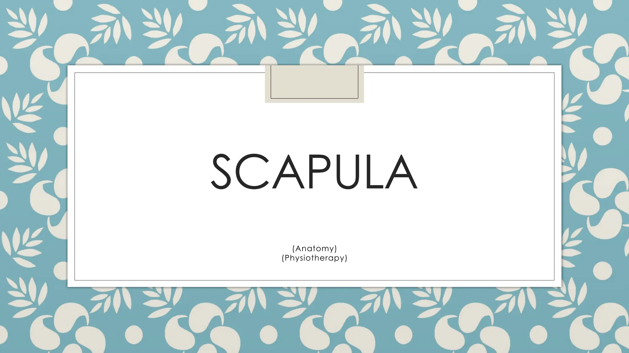 Scapula Anatomy: A Comprehensive Overview for Physiotherapy and Medical ...