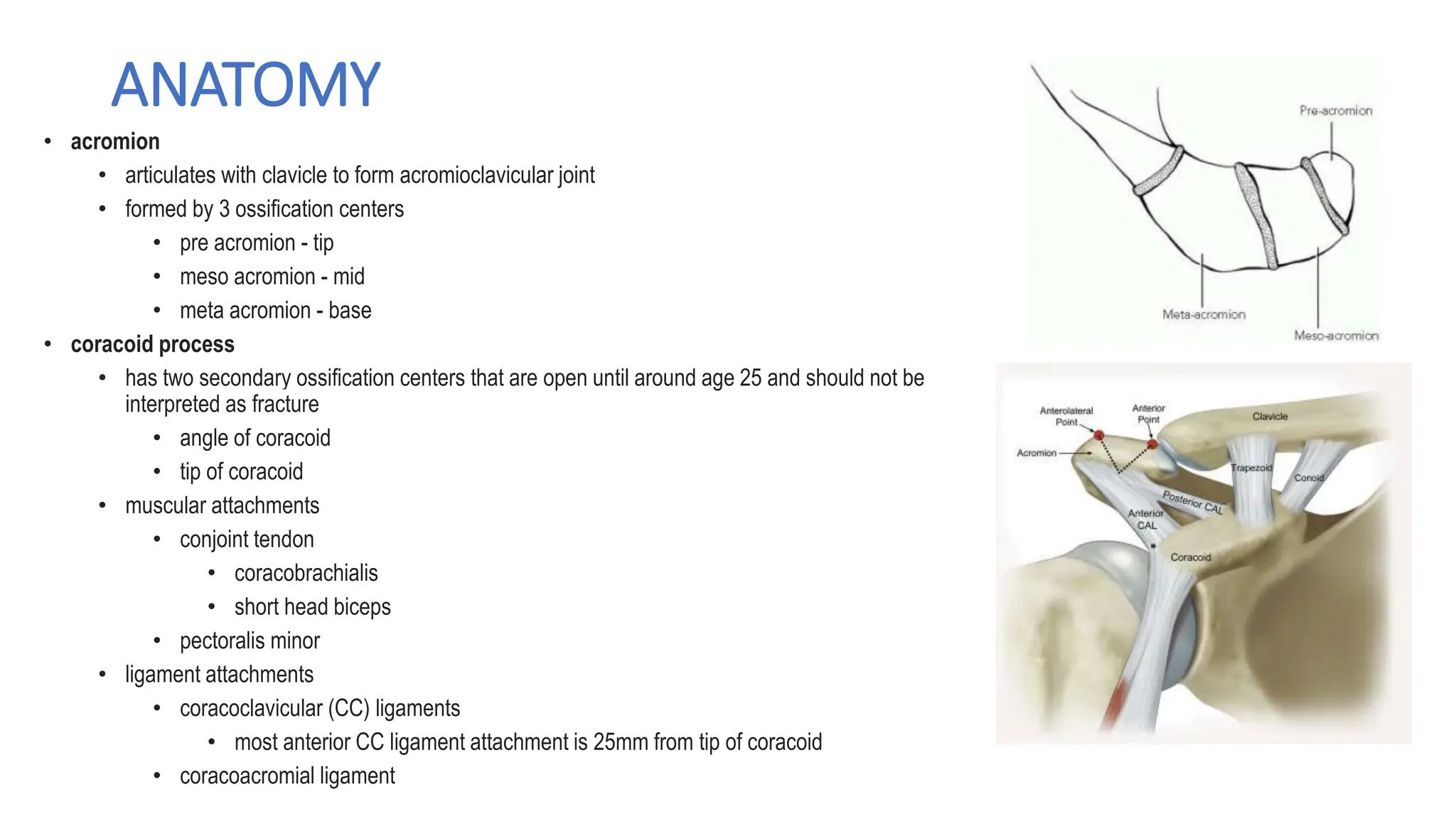 A review of Scapula Fractures with it's managment.pptx