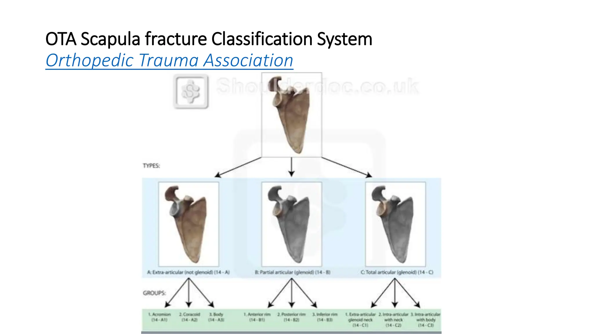 A review of Scapula Fractures with it's managment.pptx
