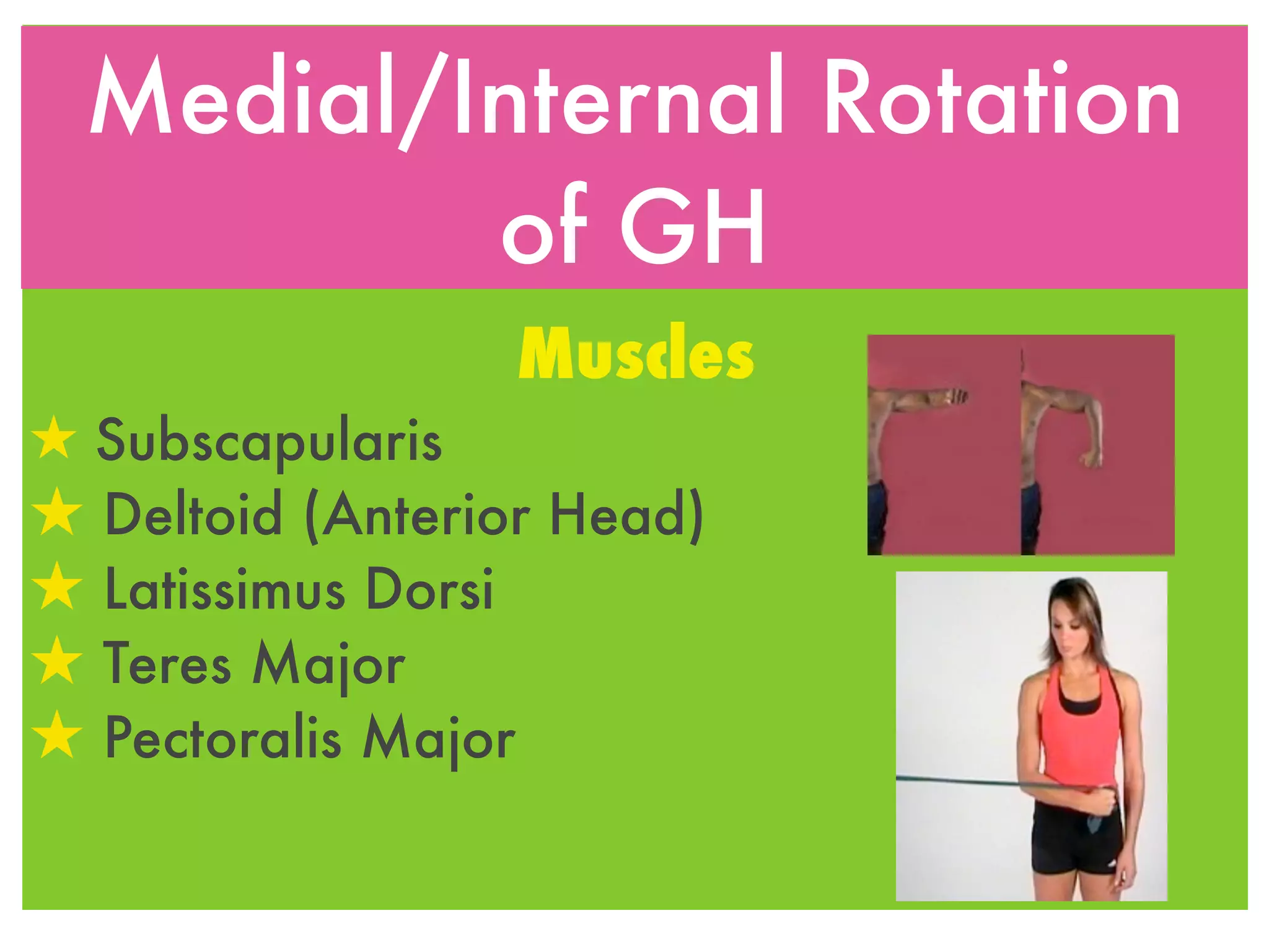 Scapula & gh major project | KEY