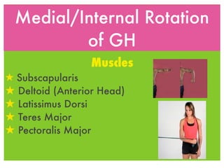 Scapula & gh major project | KEY