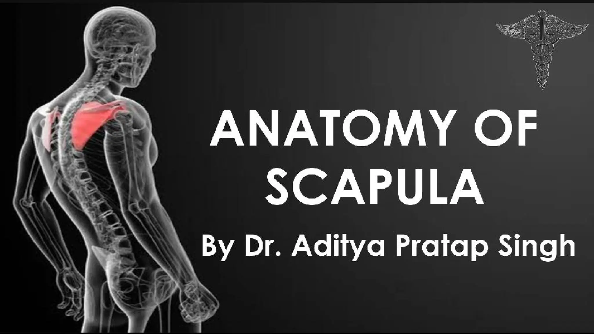 Anatomy of scapula ppt.pdf by Dr. Aditya Pratap Singh | PDF