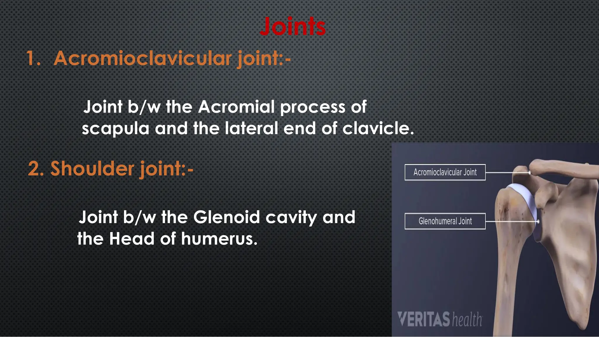 Anatomy of scapula ppt.pdf by Dr. Aditya Pratap Singh | PDF