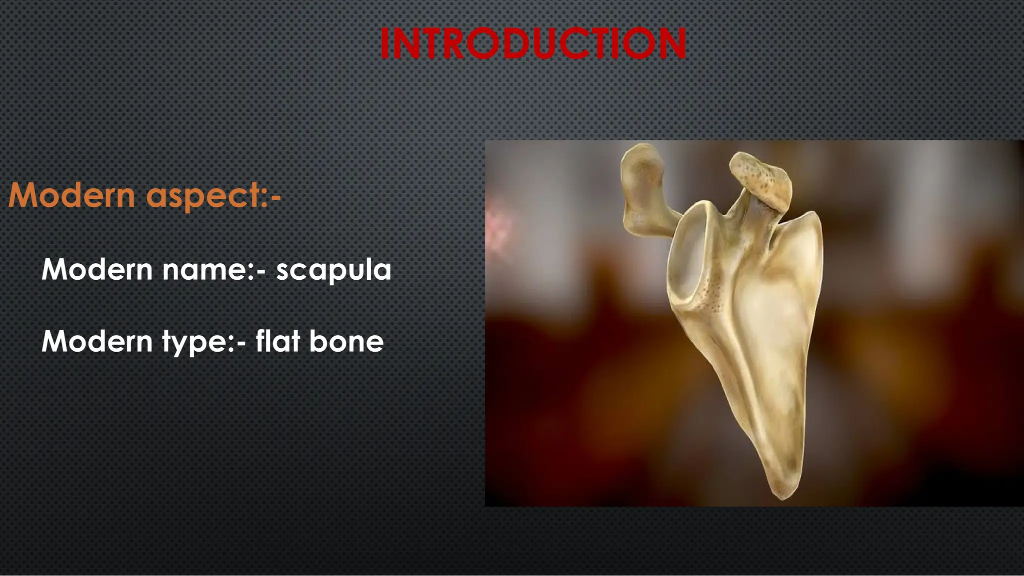 Anatomy of scapula ppt.pdf by Dr. Aditya Pratap Singh | PDF