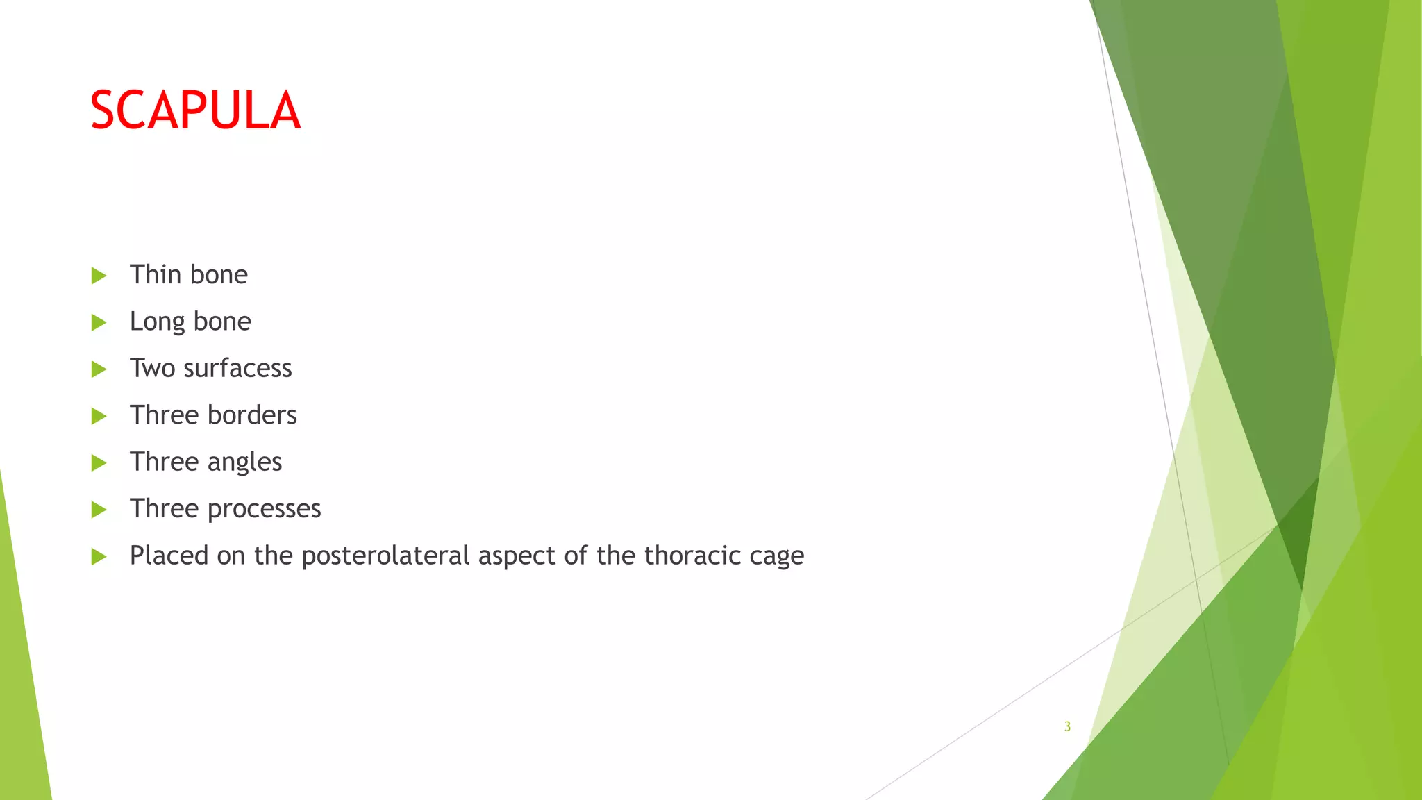 Scapula presentation | PPTX