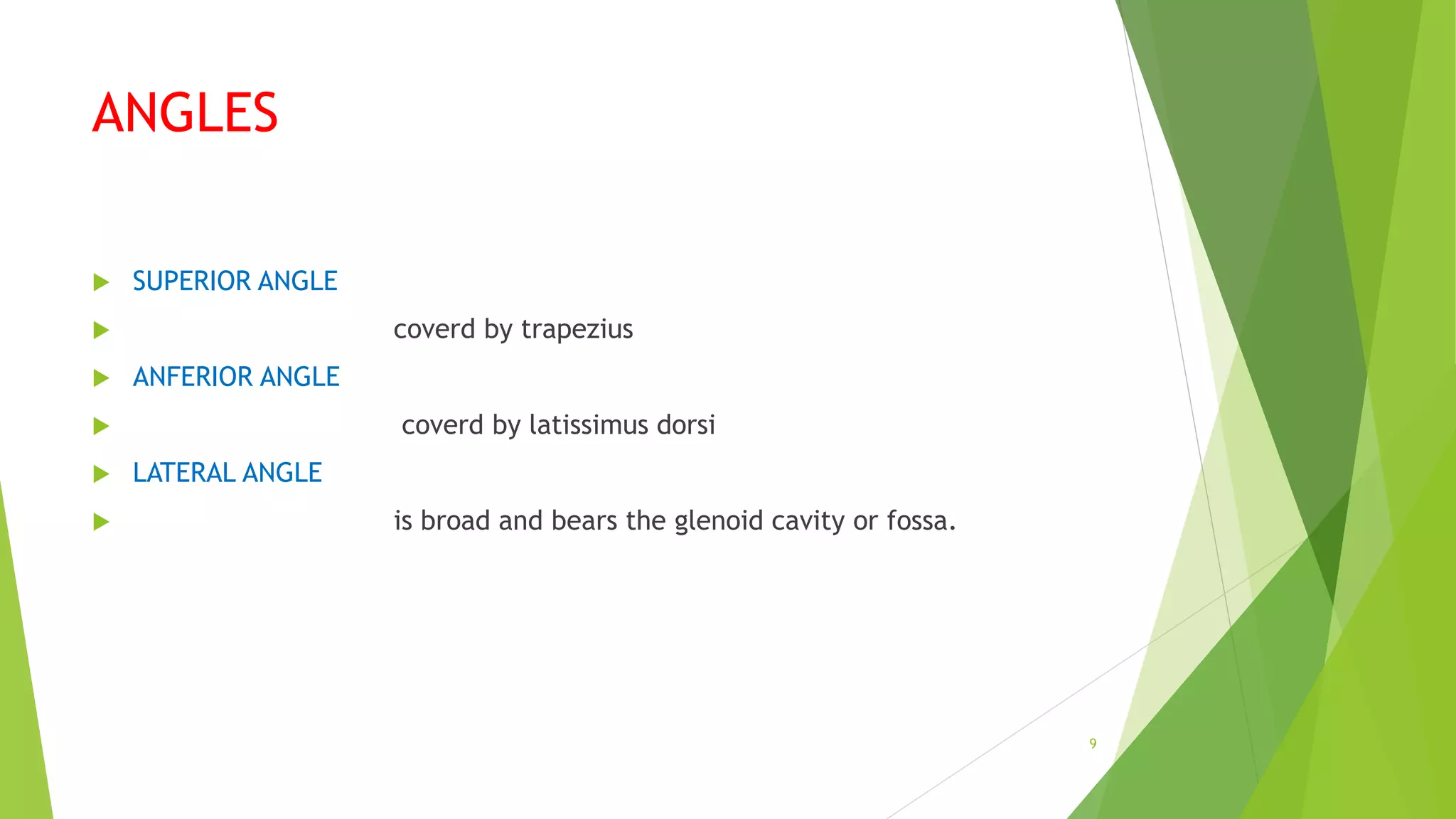 Scapula presentation | PPTX