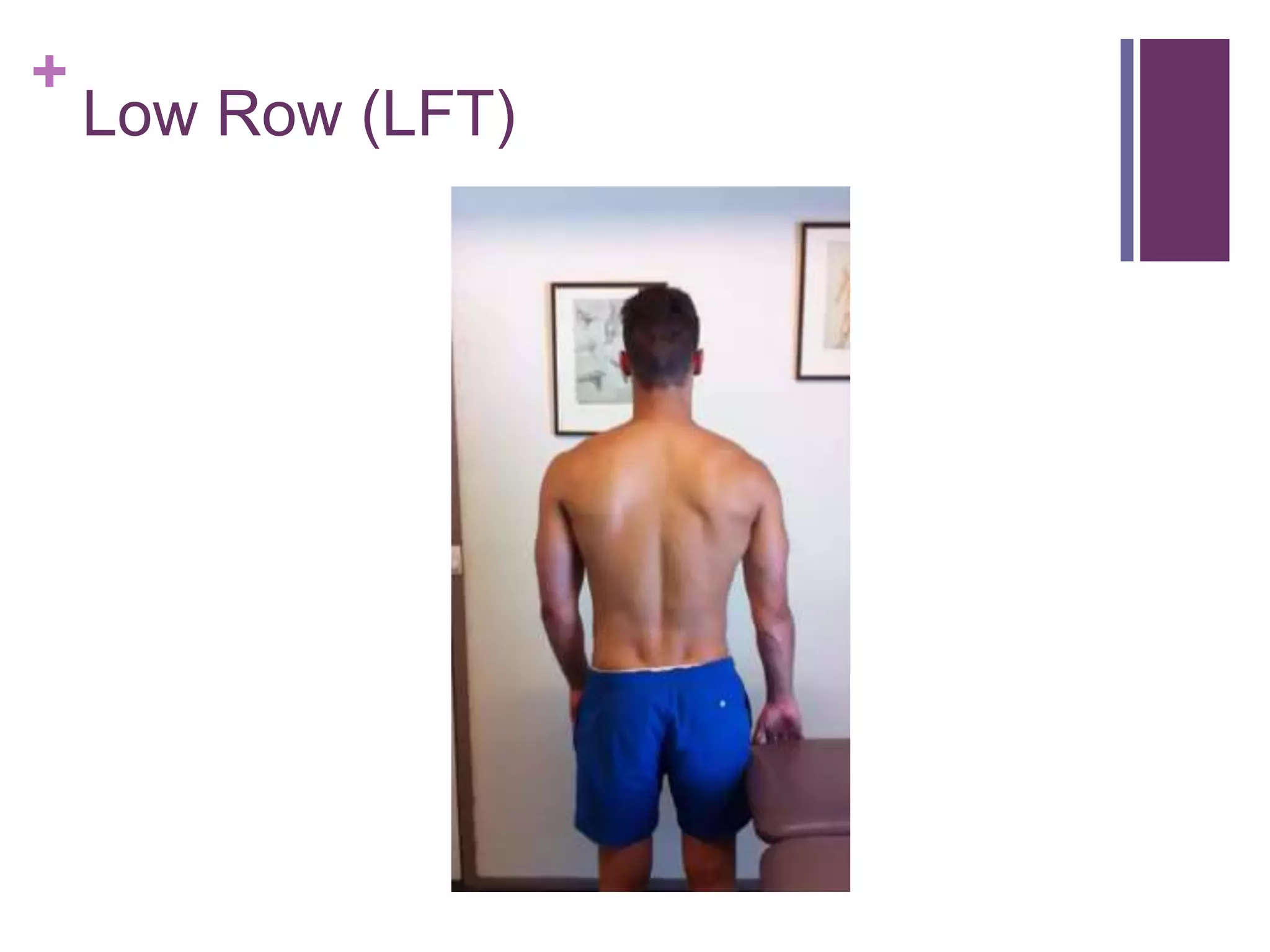 Scapular dyskinesia and its relationship to rotator cuff impingement ...
