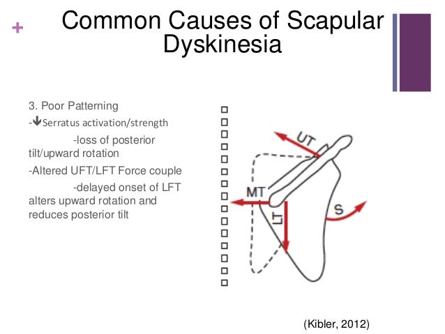 Scapular dyskinesia and its relationship to rotator cuff impingement