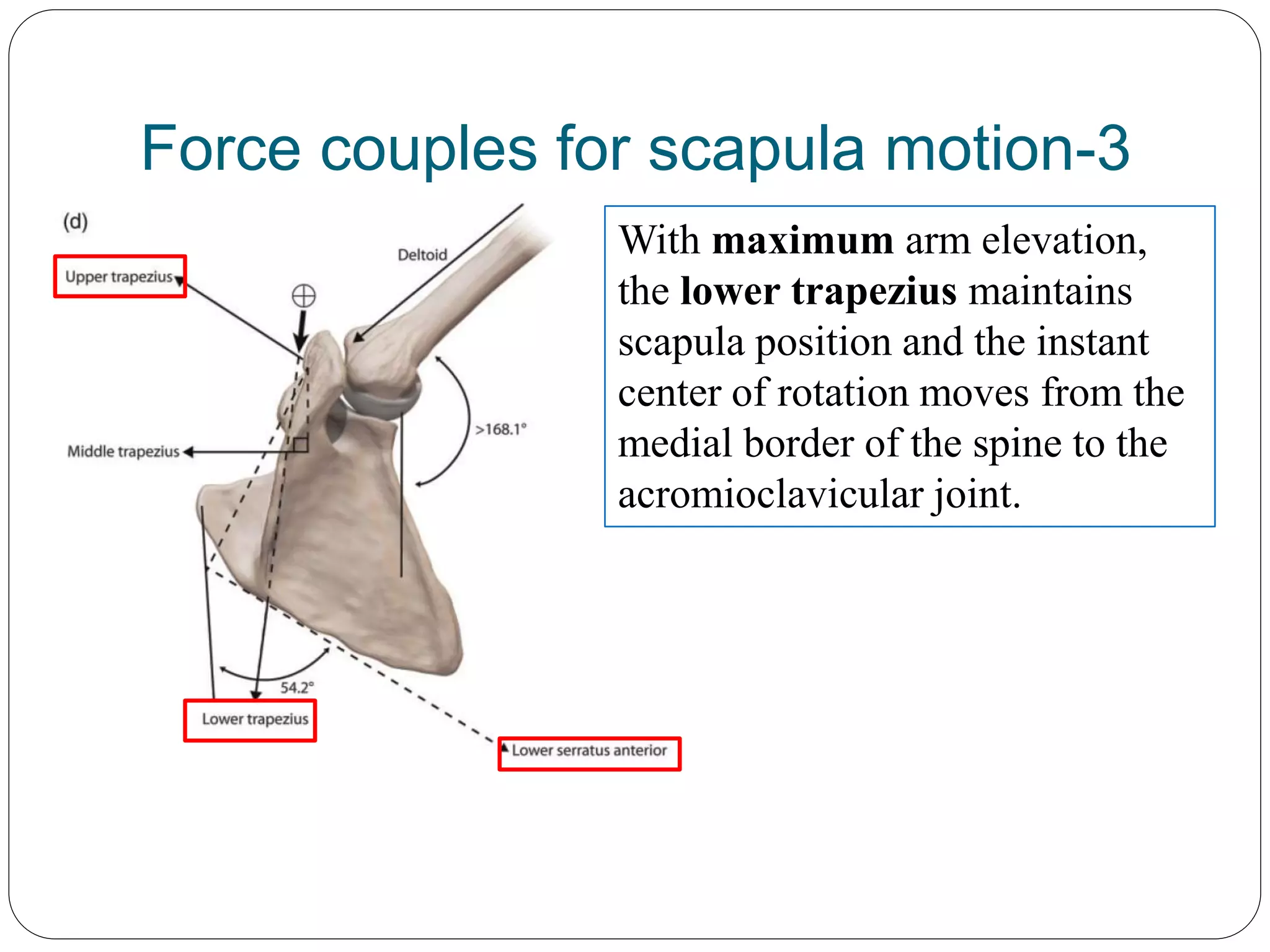 Scapular dyskinesis | PPTX